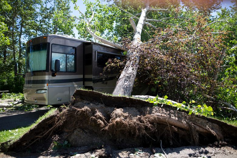 Red Deer storm: State of emergency declared after powerful winds wreak ...