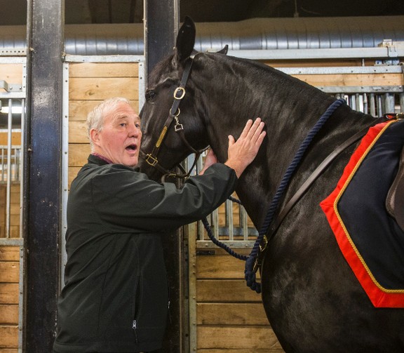Toronto Police mounted unit sets 'gold standard' | Toronto Sun