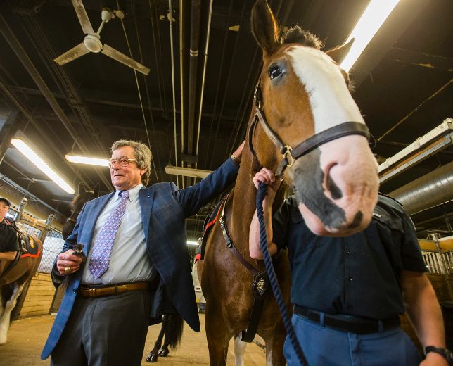 Toronto Police mounted unit sets 'gold standard' | Toronto Sun