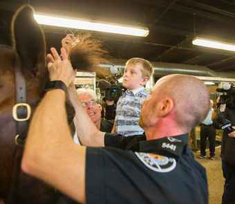 Toronto Police mounted unit sets 'gold standard' | Toronto Sun