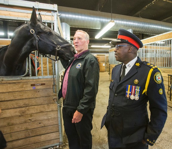 Toronto Police mounted unit sets 'gold standard' | Toronto Sun