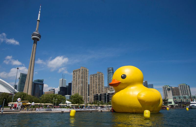 Giant rubber duck wades into Toronto after causing a flap | Toronto Sun