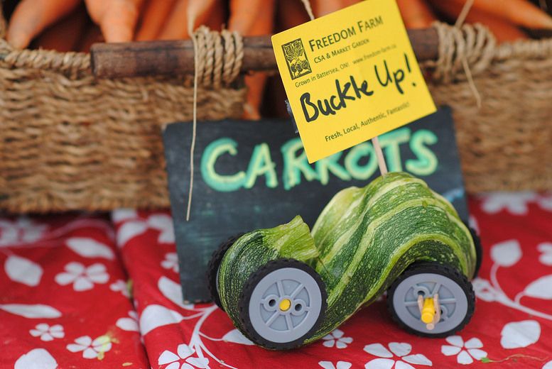 Zucchini 500 more about fun that competition | The Kingston Whig Standard