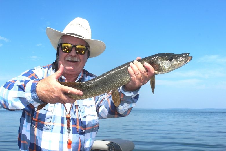 Outdoors with Neil Waugh: Twist and Shout | Edmonton Sun