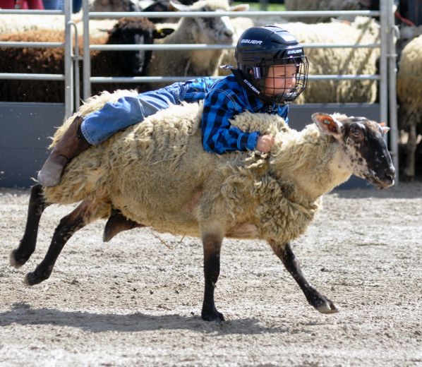Mitchell Fall Fair - 163rd edition! | Mitchell Advocate
