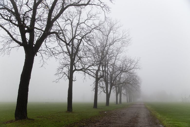 Grey week ahead before temperatures drop this weekend | London Free Press