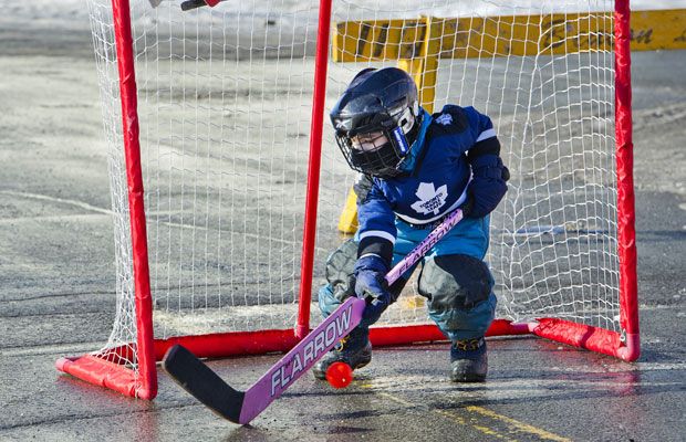 Winterfest at the arena | Goderich Signal Star