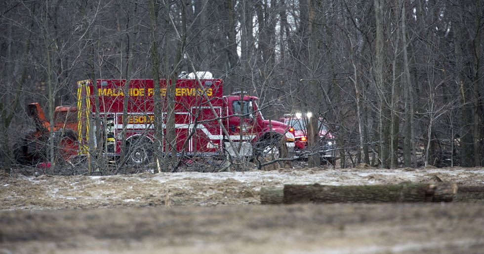 Work fatality: Tree-cutting crew member killed by falling tree in Elgin ...