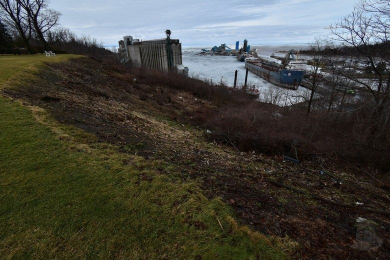 Clear cutting | Goderich Signal Star