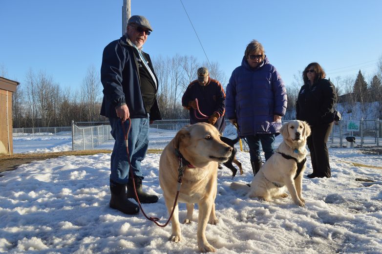 Sudbury to get its third dog park | Sudbury Star