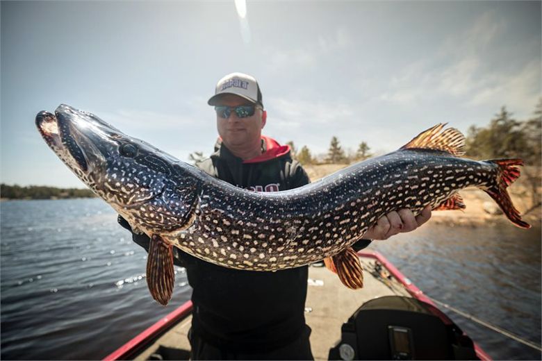 CLARK: Mike Desforges breaks down his strategy | Sudbury Star