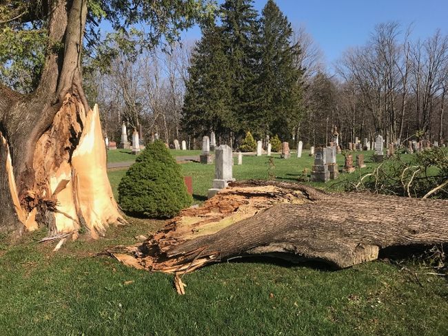 Power restored across Grey-Bruce | Owen Sound Sun Times Power restored across Grey-Bruce | Owen Sound Sun Times