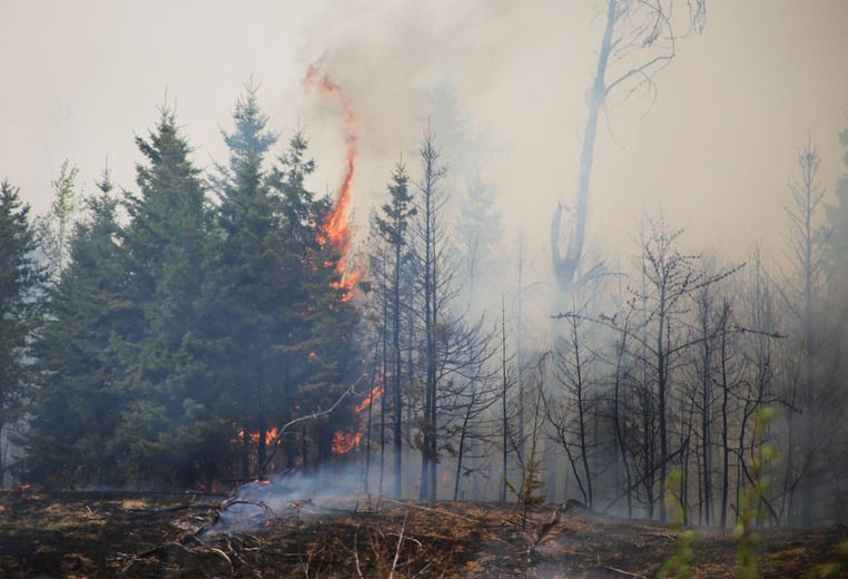 Grass fires near Bruderheim | Fort Saskatchewan Record
