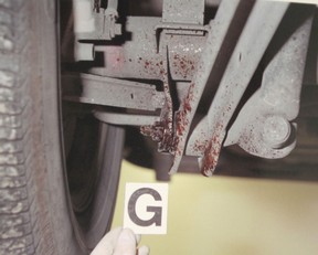 Stobbe fit enough to bike home, Crown alleges | Winnipeg Sun