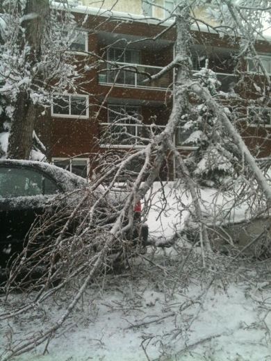 Edmonton snow storm causes plows to scramble | Edmonton Sun