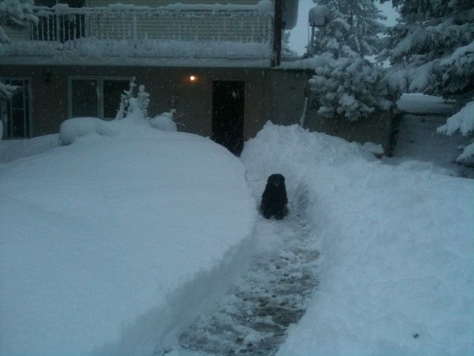 Edmonton snow storm causes plows to scramble | Edmonton Sun