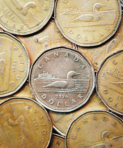 A Loonie can get you many things at Delhi Rotary auction | Simcoe Reformer