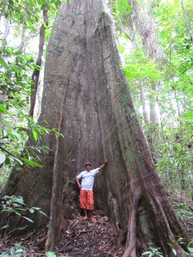 Guyana interior is way off the beaten track | Toronto Sun