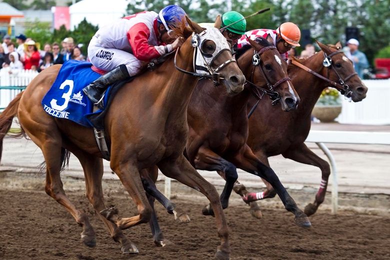 From drivers to trainers to owners, thoroughbred season in full swing ...