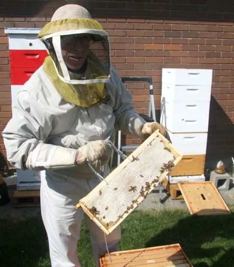 Vancouver beekeepers record 250-pound honey hives | Vancouver Sun