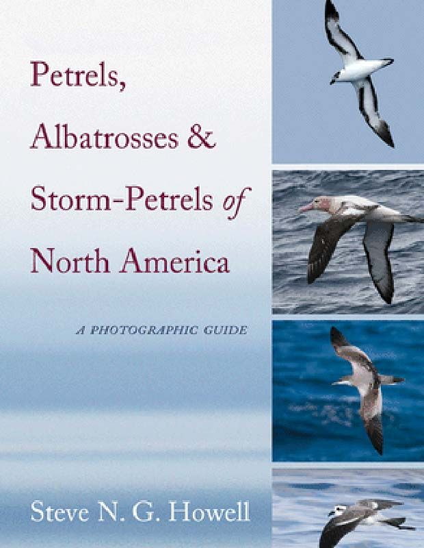 A Superb New Seabird Guide | Vancouver Sun