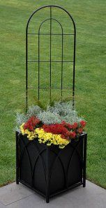 Support your plants for a better show | Vancouver Sun