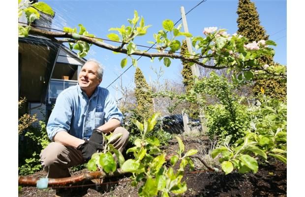 Plant a tree, build a forest | Vancouver Sun
