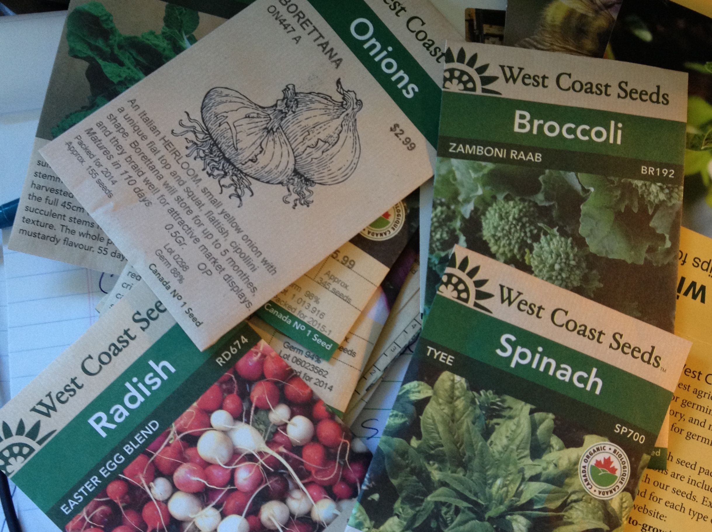 Sow seeds for success: How and when to plant spring vegetables ...