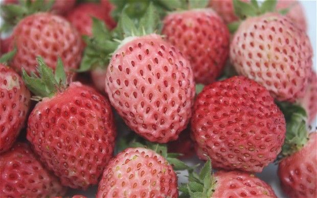 Willy Wonka "bubbleberry" the hottest new fun fruit | Vancouver Sun