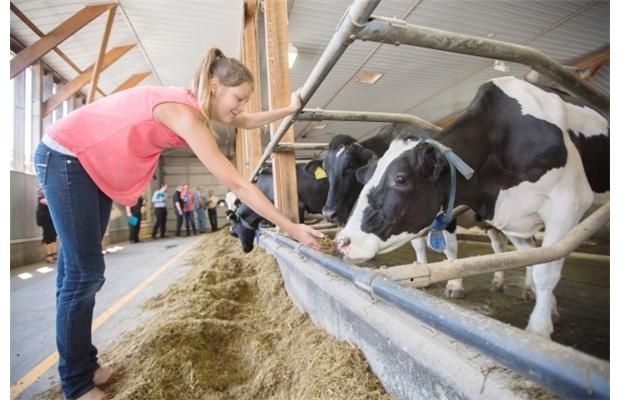 Science World lands in cow country and it's udderly amazing | Vancouver Sun