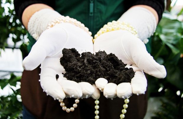 Sea Soil a big hit with gardeners, naturally | Vancouver Sun