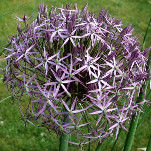 Two bestsellers back for you | Vancouver Sun