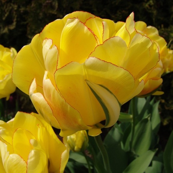 Two bestsellers back for you | Vancouver Sun