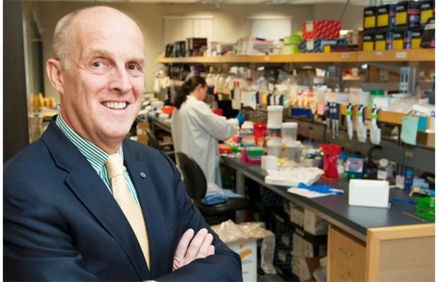 BREAKING NEWS: cancer agency CEO Max Coppes leaves; the Dutch master ...