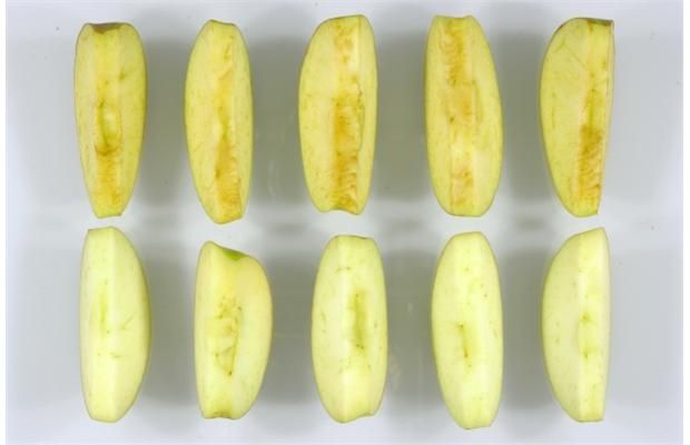 Five things to know about BC's genetically modified Arctic apple ...