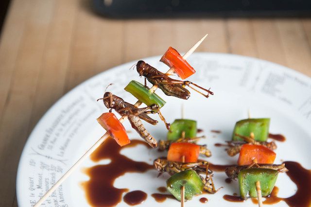 Bug chef visits Hawkers Market. Samples to try! | Vancouver Sun