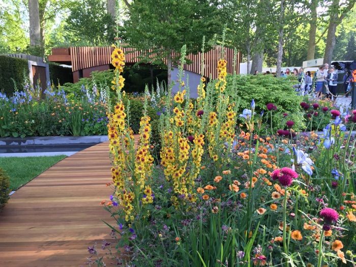 The best of Chelsea | Vancouver Sun