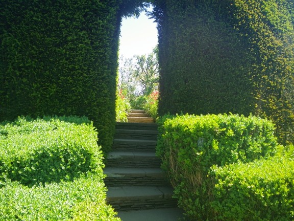 The art of framing a garden picture | Vancouver Sun