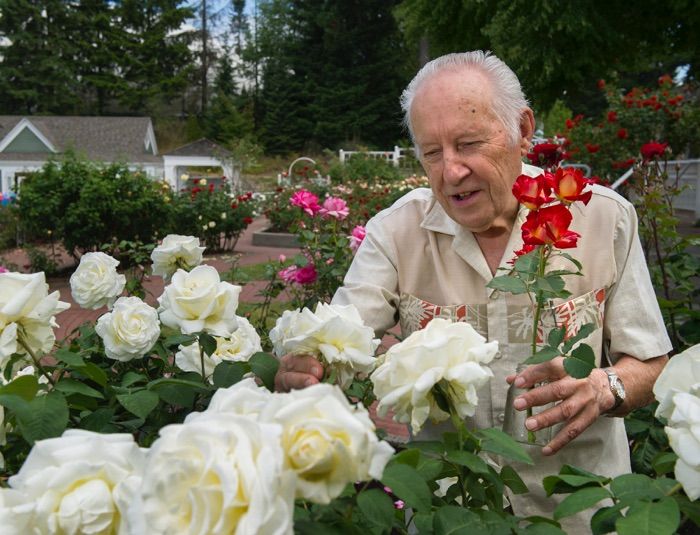 By George, what superb roses | Vancouver Sun