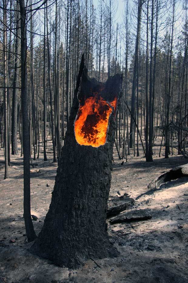 Death and life in the wildfire zone - a Rock Creek fire photo gallery ...