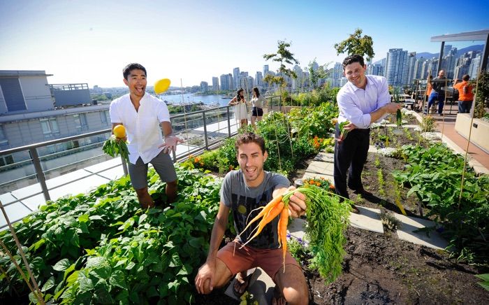 Growing up on the roof | Vancouver Sun