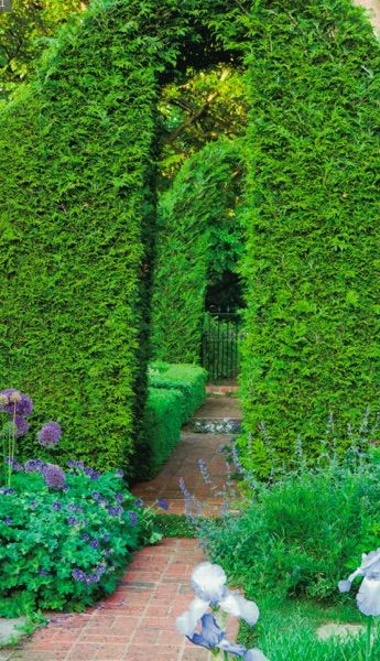 Paths are the route to beauty | Vancouver Sun