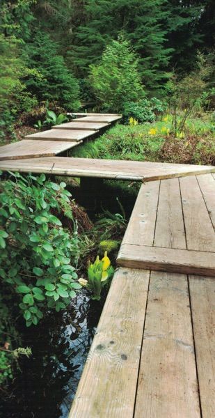 Paths are the route to beauty | Vancouver Sun