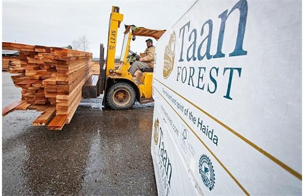 Haida logging faces challenge of balancing profits with sustainability ...