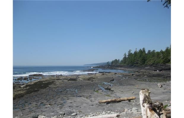 Running shoe technology behind B.C.'s disembodied foot problem, says ...