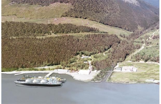 Woodfibre LNG seeks to cut construction costs to offset gas-price drop ...