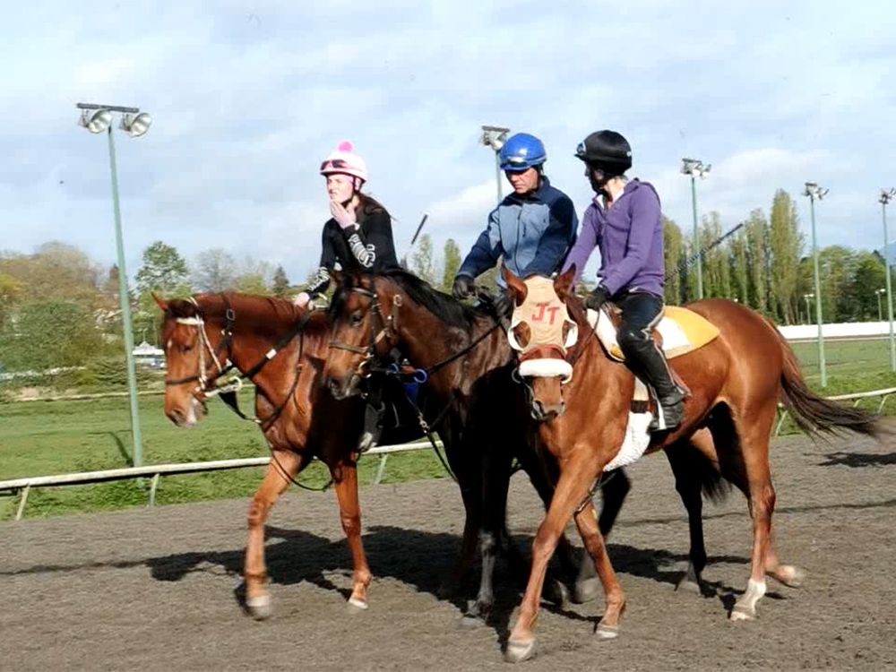 Video: Meet Hastings Racecourse award winning trainer Barb Heads ...