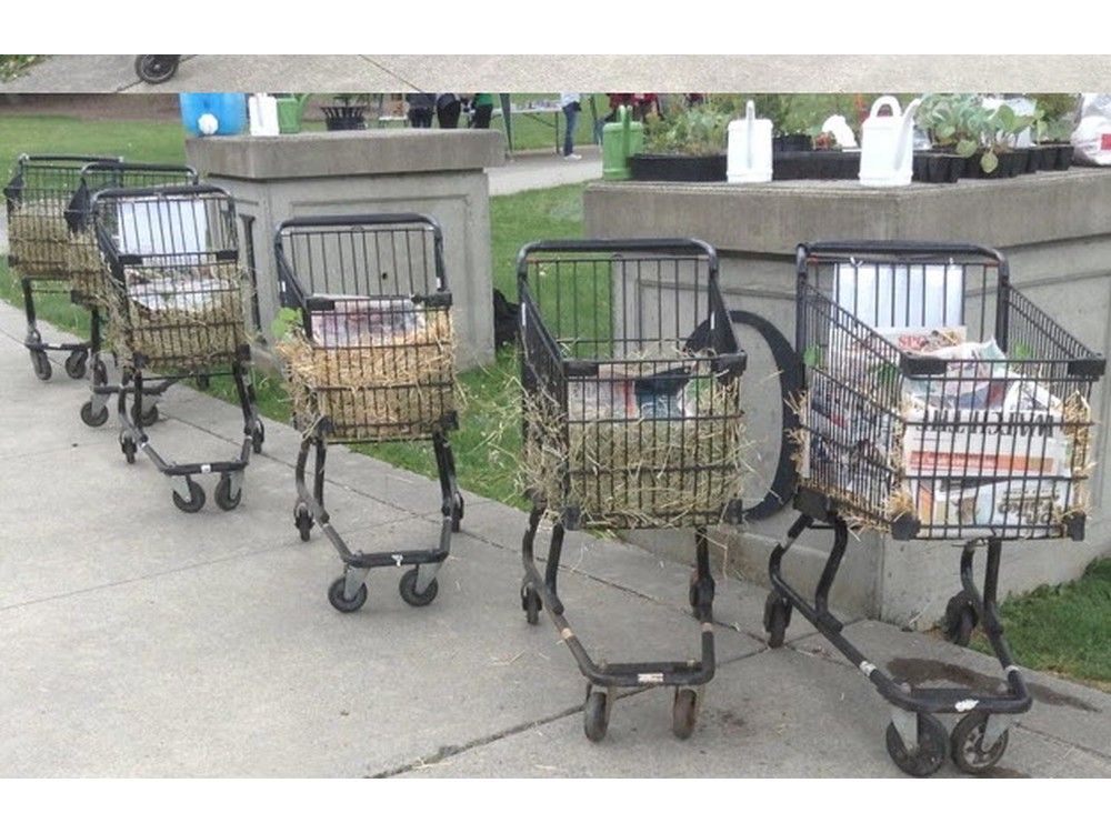 Growing vegetables a la cart - shopping carts that is | Vancouver Sun