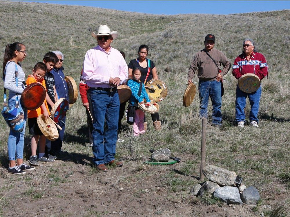 Burrowing owls released on First Nations reserve | Vancouver Sun