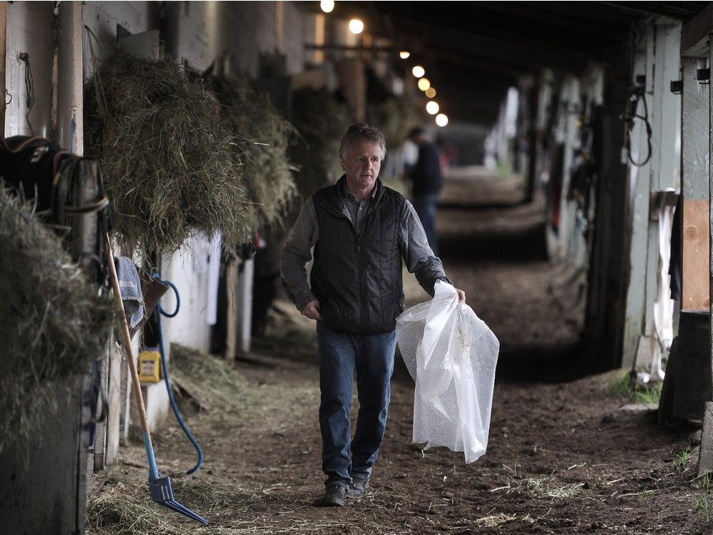 Hastings Racecourse: Stable personalities who make the track tick ...